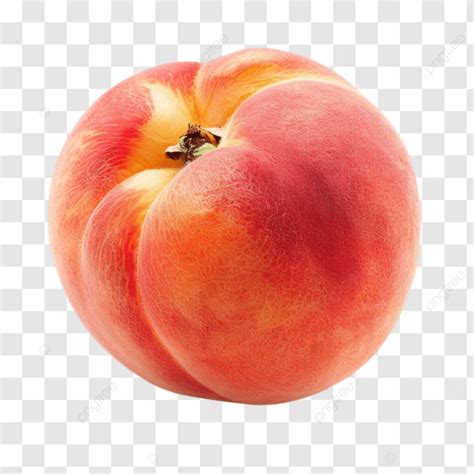 수분이 많은 복숭아 아름다운 과일 흥미 진진한 복숭아 아름다운 Png 일러스트 및 이미지 에 대한 무료 다운로드 Pngtree
