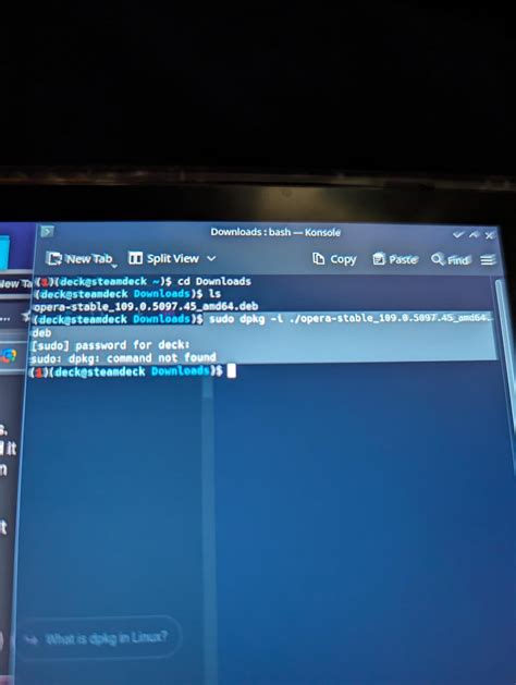 Why Wont Sudo Dpkg Not Work Rsteamdeck