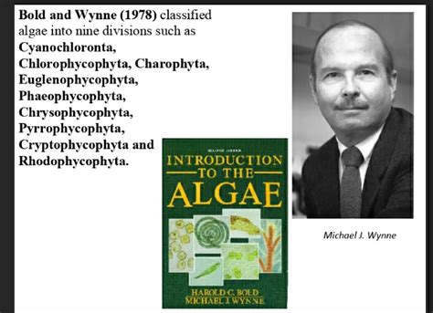 Algae And There Classification Based On Different Features Structure Biological Systems Ppt