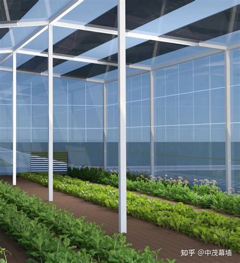 光伏农业大棚：创新“农光互补”模式，实现可持续发展 知乎