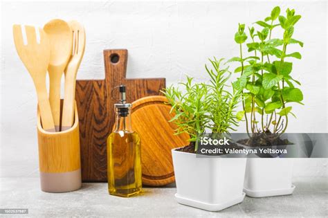 부엌 내부를 배경으로 화분에서 자라는 다양한 신선한 허브 그린 바질 민트 오레가노 백리향 로즈마리 냄비에 신선한 향기로운 허브를 섞었습니다 요리 허브 세트입니다 복사 공간