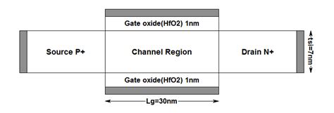 1 Cross Sectional View N Type Tfet 8 Download Scientific Diagram