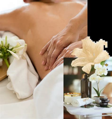 Massage Packages And Pricing Elite Massage Therapy