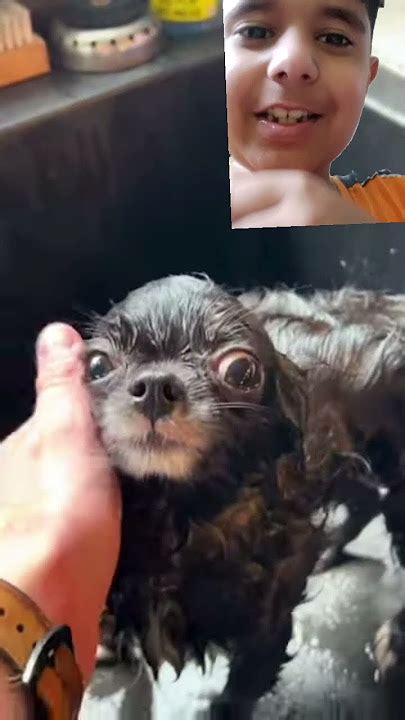 Anuj Sethis Instagram Twitter And Facebook On Idcrawl