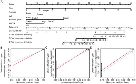 Nomogram And Calibration Plot For Prognosis Of Rfs In Patients With Download Scientific Diagram