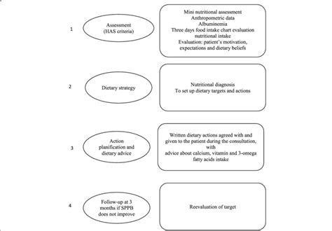 Nutritional Intervention It Is A 3 Step Intervention With As Download Scientific Diagram