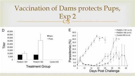Machine Learning And Artificial Intelligence Algorithms For Smartphone Based Malaria Screening