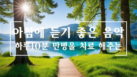 머리가 맑아지는 힐링음악 🌲하루10분 만병을 치료 해주는 힐링 명상 기치료 음악 및 영상 아침음악 힐링음악 명상음악