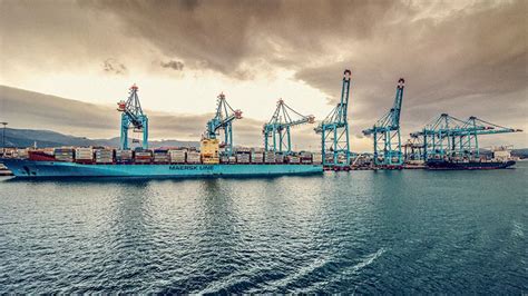 Container Shipping Lines Continue To Diversify Transport Intelligence