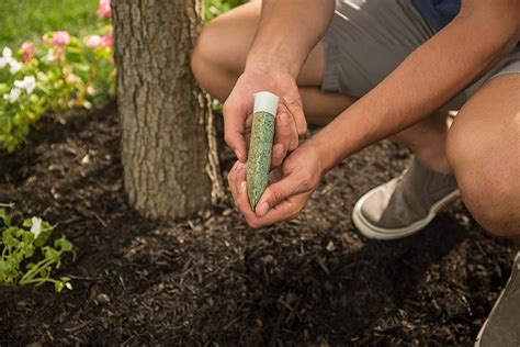 12 Best Tree Spikes Fertilizer For 2024 Storables
