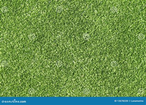 Grass Macro Photography Background 220729625