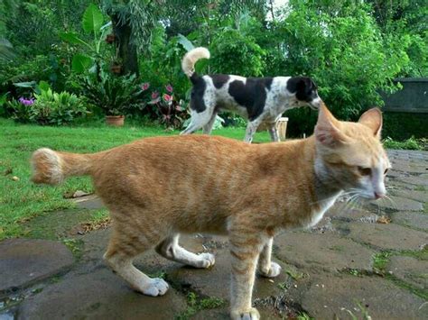 Aris Susilo Yosuaaris Twitter