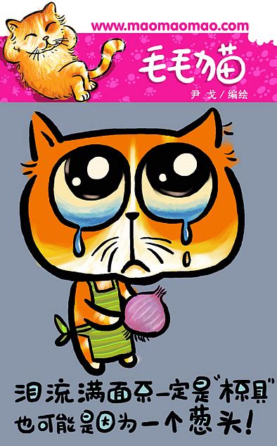毛毛猫系列漫画鼓捣猫的尹戈 站酷zcool
