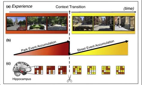 What Is An Episode In Episodic Memory Role Of Context And Event Segmentation In The