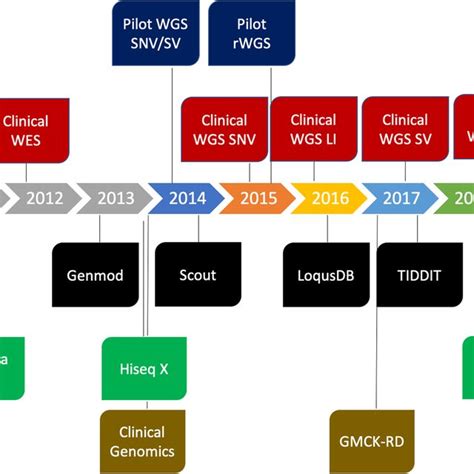 Massively Parallel Sequencing Mps Based Diagnostics At The Genomic