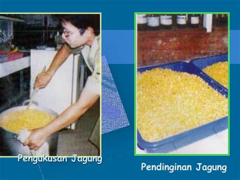 Pengembangan And Perbanyakan Trichoderma Sp Ppt