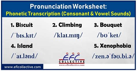 Phonetic Transcription