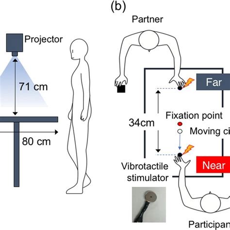 Pdf A Behavioral Approach To Shared Mapping Of Peripersonal Space Between Oneself And Others