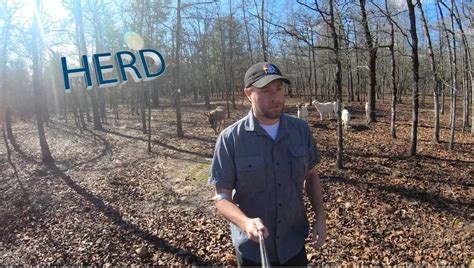 Fobby Naghmi On Linkedin Socialmedia Inspiration Growthmindset Sales