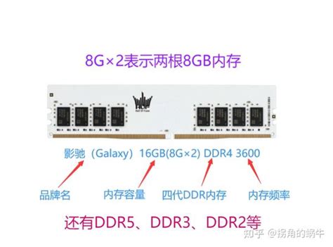 内存篇：2024年年货节，台式机内存推荐与分析，帮你搞定高性价比内存条哈哈哈😁😁😁