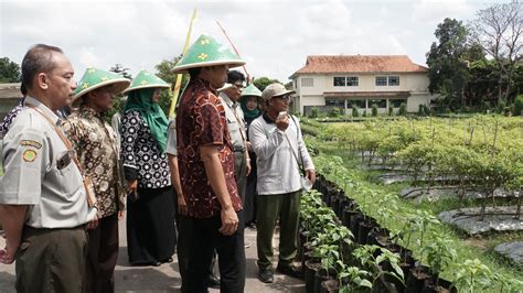Portal Berita Pemerintah Kota Yogyakarta Serahkan Bantuan Benih Cabai Polbangtan Siap