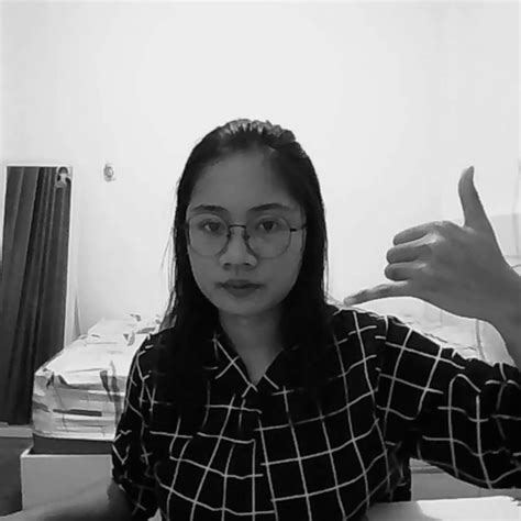 Grayscale Skripsi Object Detection Dataset By Skripsi Julia