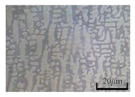 Morphology Of The Three Specimens A Microstructure Diagram Of Test Download Scientific