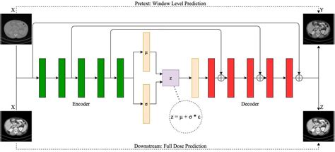 Sswl Idn Self Supervised Ct Denoising By Ayaan Haque Towards Data