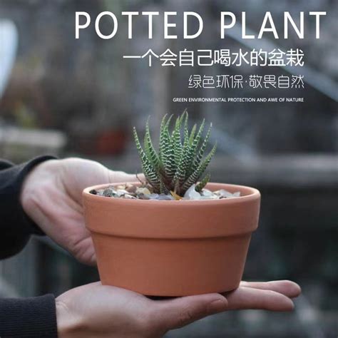 清仓红陶花盆陶土瓦盆粗陶透气大口径多肉陶瓷绿植兰花盆特价包邮 虎窝淘