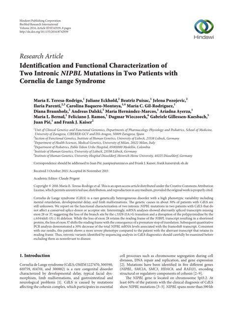 Pdf Identification And Functional Characterization Of Two Intronic