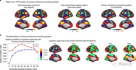 三种时空模式下的全脑功能组织 知乎