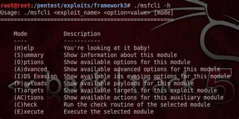 Exploiting Windows Server Reverse Shell