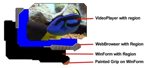 TaskbarNotifiers Resizable Skinned MSN Messenger Like Popups With Video CodeProject