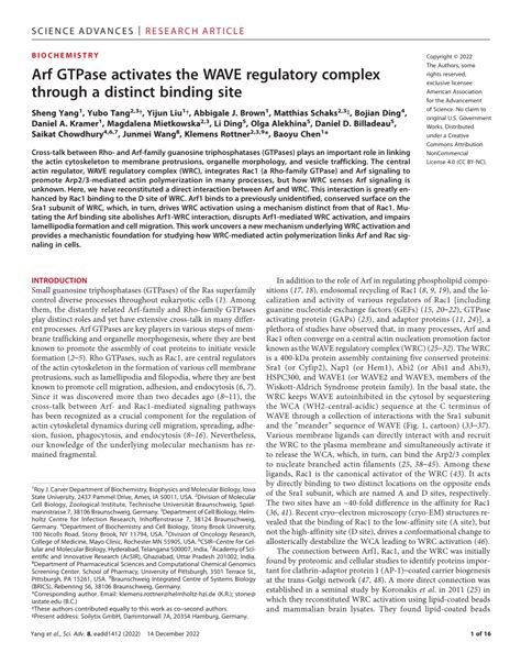 Pdf Arf Gtpase Activates The Wave Regulatory Complex Through A Distinct Binding Site