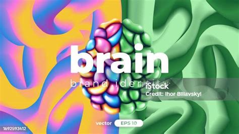 인간의 두뇌 왼쪽과 오른쪽 대뇌 반구 두 부분 개념 창조적 인 부분과 논리 분석적인 부분 과학과 예술3d 템플릿입니다 생생한
