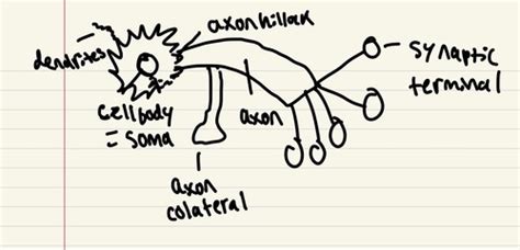 Week 4 Flashcards Quizlet Week 4 Flashcards Quizlet