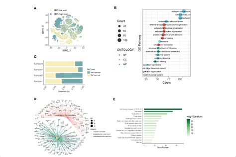 Expression Annotation And Biological Pathway Enrichment Analysis Of Download Scientific Diagram