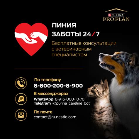 Влажный PRO PLAN® DELICATE DIGESTION для взрослых кошек с ...