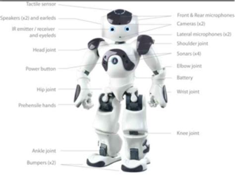 Figure 1 From Nao Humanoid Robot Motion Planning Based On Its Own Kinematics Semantic Scholar