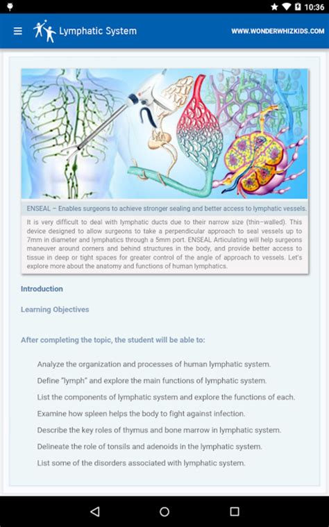 Lymphatic System Apk For Android Download
