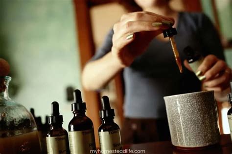 How To Make Stevia Extract With And Without Alcohol My Homestead Life