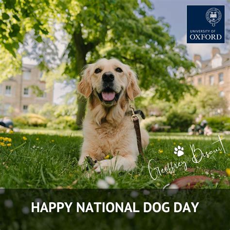 Natasya Abdul Rahman Posted On Linkedin