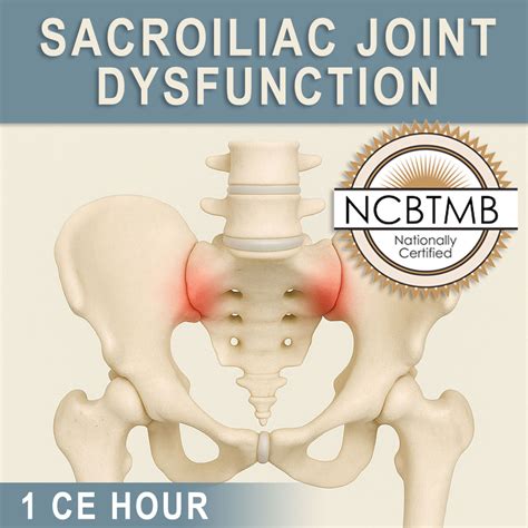 Sacroiliac Joint Dysfunction Online Course 1 Ce Hour Learn Muscles
