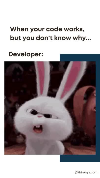 Thinksys Inc On Linkedin Fun Developers Humor Developreslife Coding