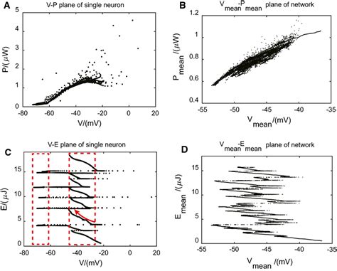 Membrane Potential Versus Energy Consumption Planes Of A Single Neuron