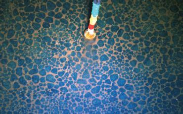 Home EarthDate