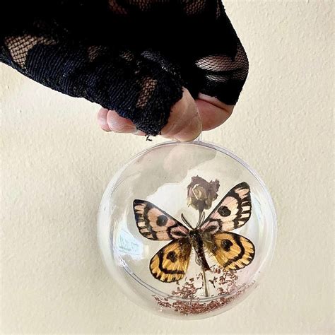 Oddities Holiday Ornament Tree Orb Full Of Real Animal Etsy