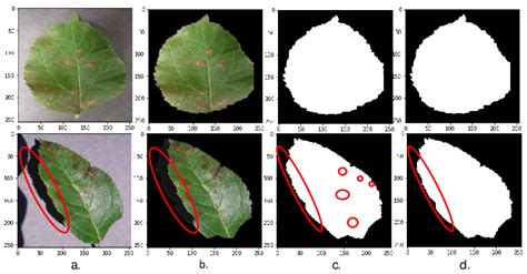 Leaf Area Detection By Creating Leaf Mask A Input Image B Background Download Scientific