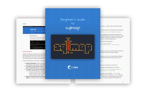 Beginner S Guide To Sqlmap Ebook Cybr