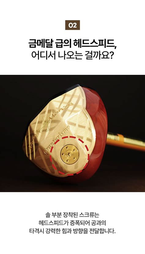 핫딜 히메지몬자 파크골프채 5종용품 풀세트 협회인증 프리미엄 그란투리스모 Gt 460 풀패키지 제공 딜팡 골프용품 전문쇼핑몰